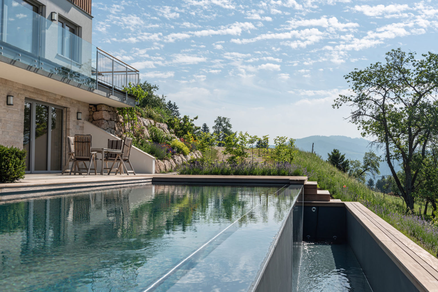 Living Pool Nachteile 1